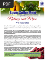 Function Prospectus | PDF