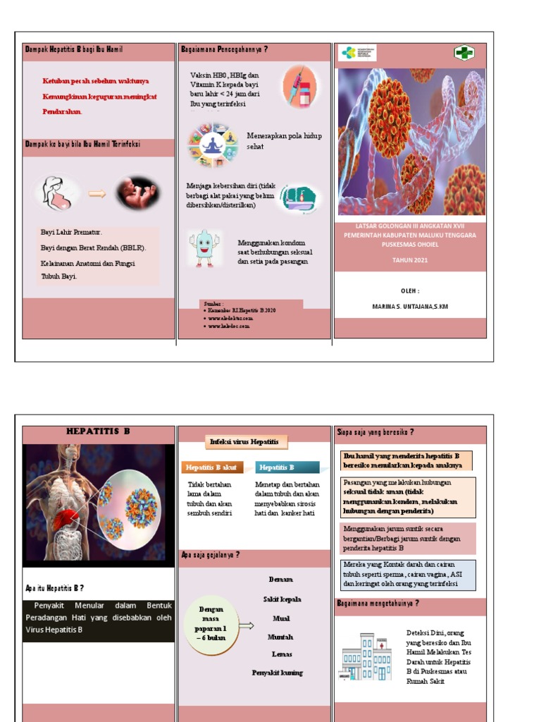 Leaflet Hepatitis b3 | PDF