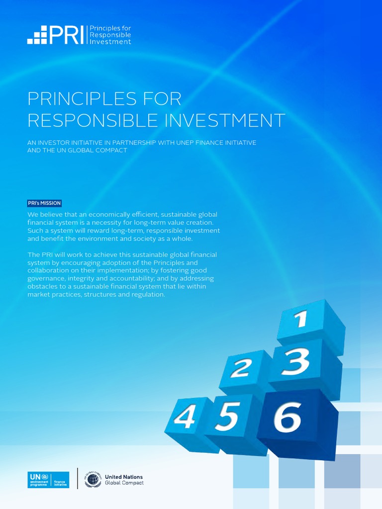 A Blueprint for Responsible Investment: Promoting Sustainability and ...