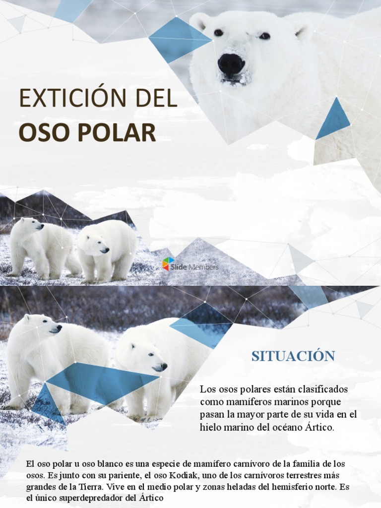 Oso Polar | PDF | Oso polar | Osos