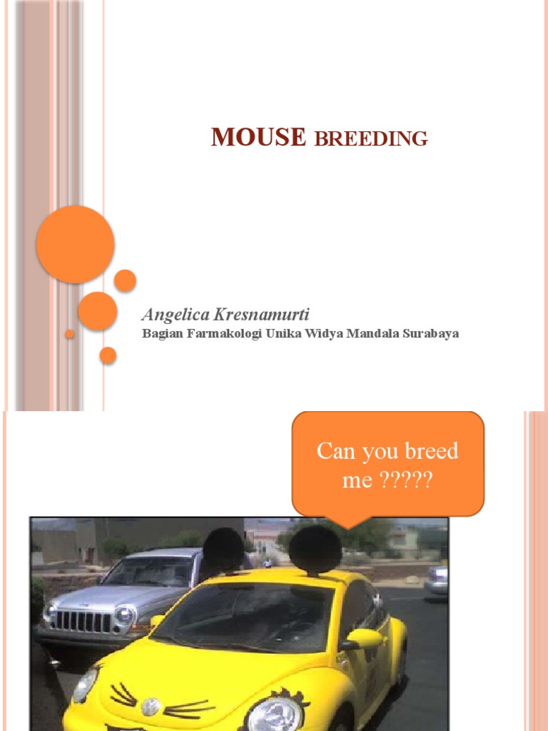 Mouse Breeding | Download Free PDF | Reproduction | Zoology