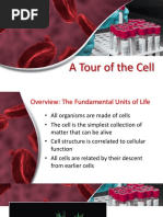 Name: Virtual Microscope by BIONETWORK: Online Edition | PDF | Optical ...