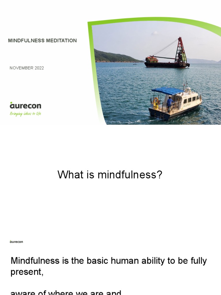 Mindfulness Meditation | PDF | Mindfulness | Meditation