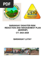 BDRRM Plan 2023-2025 Final | PDF | Hazards