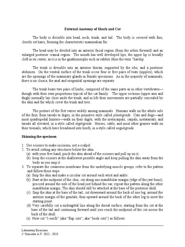 Laboratory Exercise No. 10 External Anatomy of Shark and Cat | PDF | Skin | Anatomical Terms Of ...