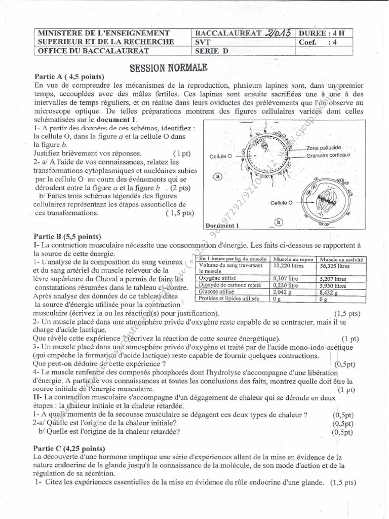 SVT Bac 13 Ds | PDF