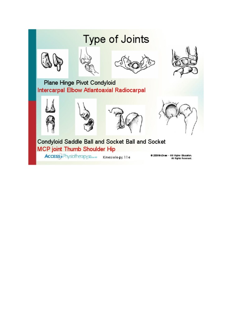 Type of Joints | PDF