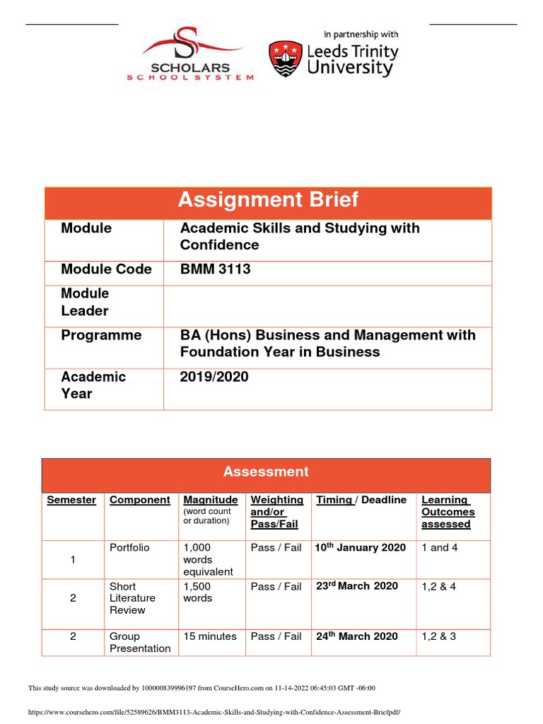 BMM3113 Assessment Guidelines | PDF | Plagiarism | Turnitin