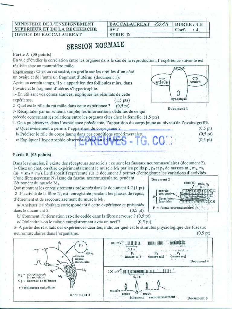 Bac D SVT 2015 | PDF