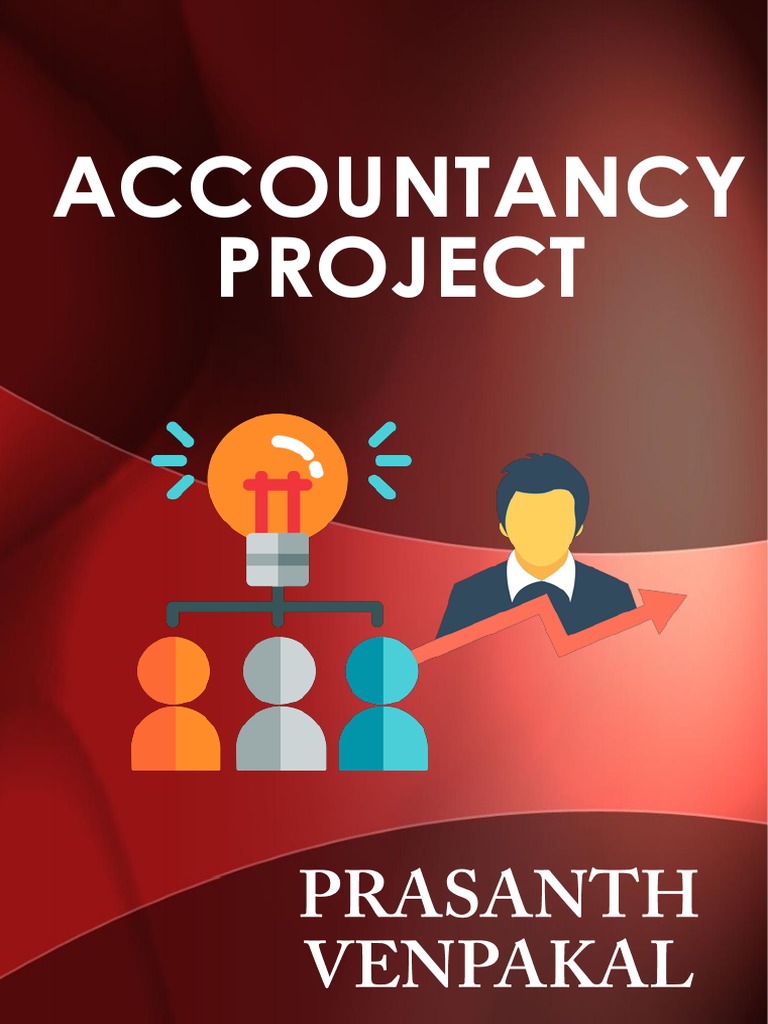 Accountancy Project Guide | PDF