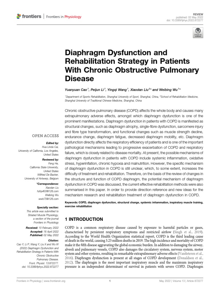 Diaphragm Dysfunction and Rehabilitation Strategy in Patients With ...
