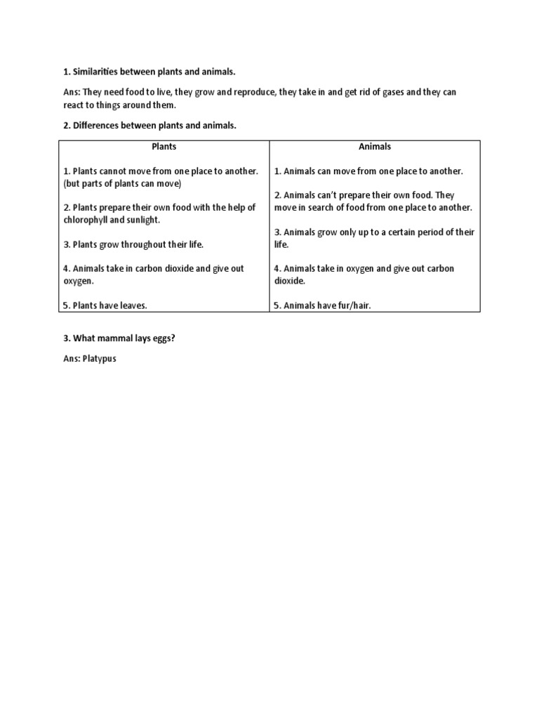 Plant and Animal Comparison Guide | PDF