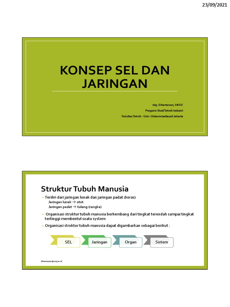 Microsoft PowerPoint - Sesi 2 - Konsep Sel Dan Jaringan | PDF