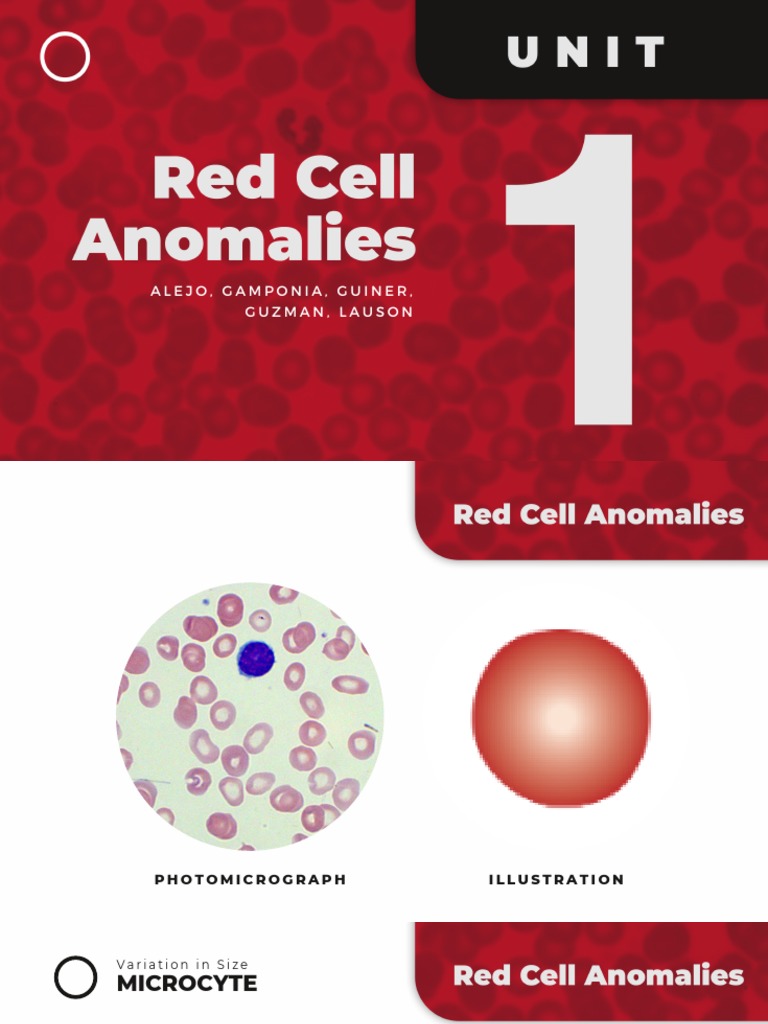 MLS 312 - 8481 - RBC Anomalies - Alejo | PDF | Anemia | Red Blood Cell