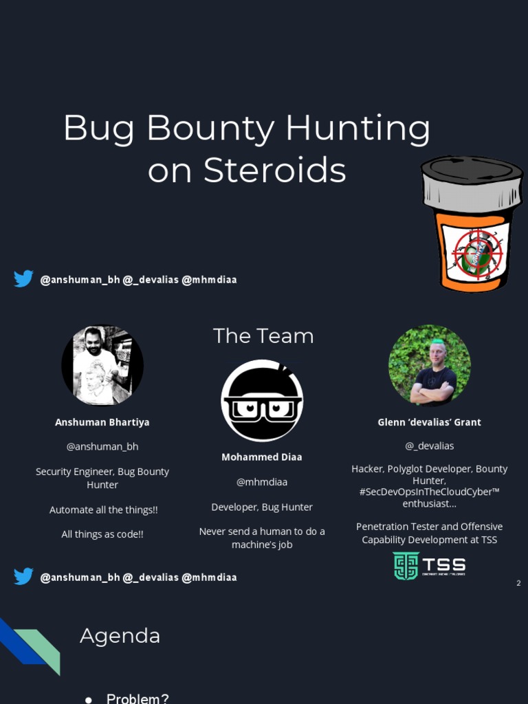 Bug Bounty Hunting on Steroids | PDF | Computing | Software Engineering