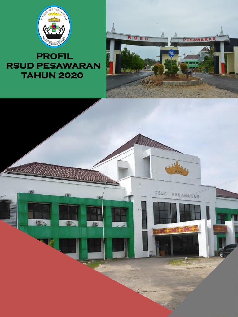 Profil Kesehatan Rsud Pesawaran Tahun 2020 Pdf