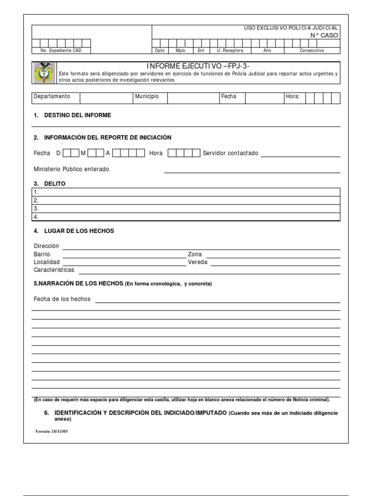 FPJ-03 INFORME EJECUTIVO