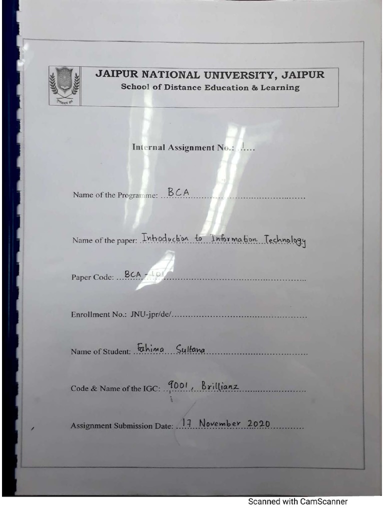 BCA 1ST YEAR - Compressed | PDF