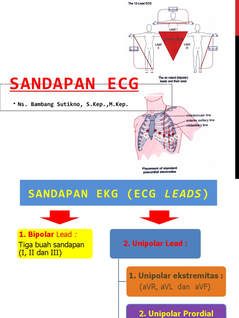 Sadapan ECG | PDF