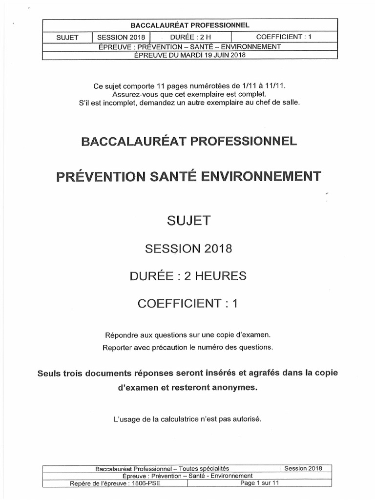 Pse Bac Pro 2018 | PDF