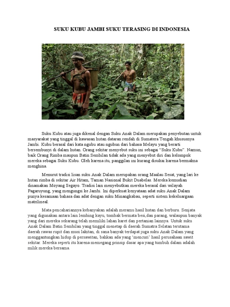 Suku Terasing Di Indonesia. Ips | PDF