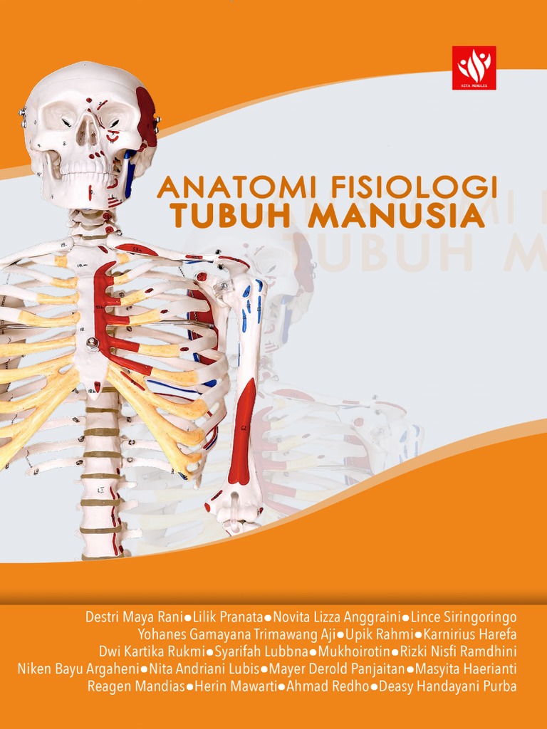 Anatomi Fisiologi Tubuh Manusia | PDF