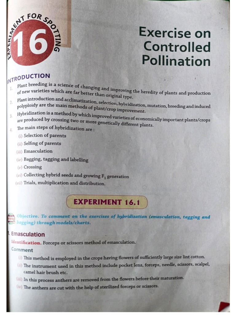 Tagging And Bagging Pdf