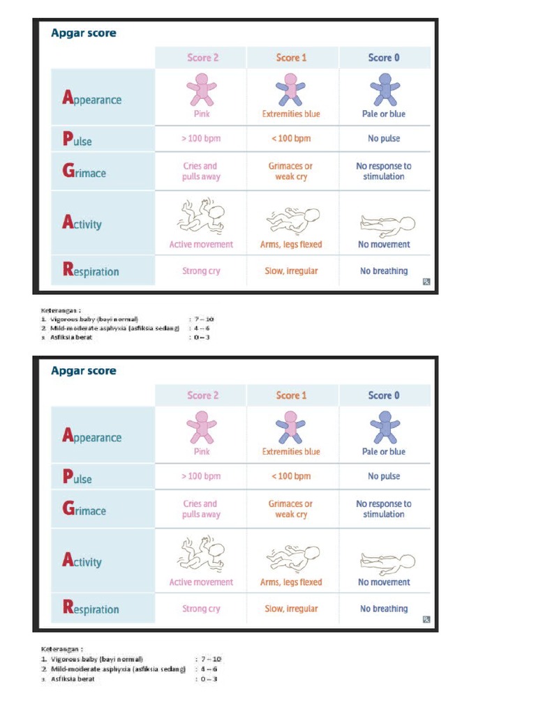 Apgar Score | PDF