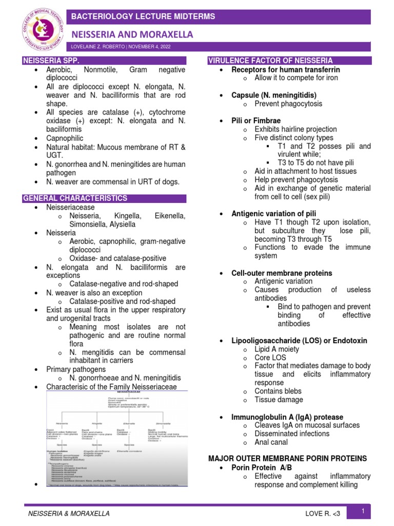 Bacte03 NEISSERIA AND MORAXELLA | PDF | Microbiology | Immunology
