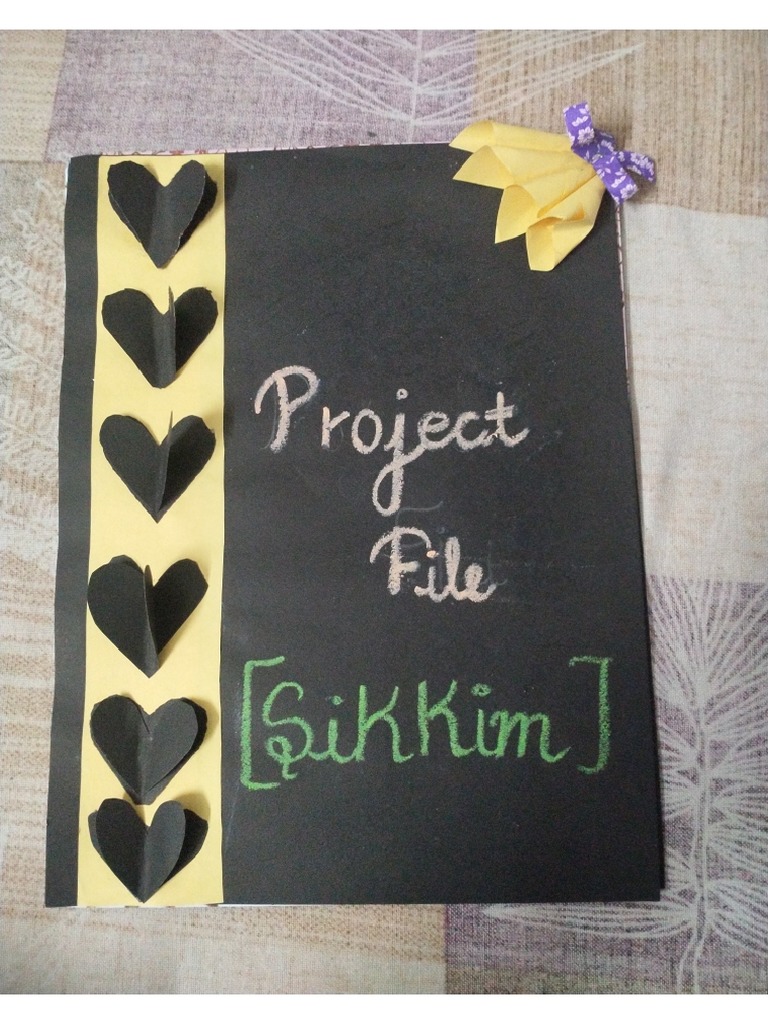 SST Project Class 10 Cbse | PDF