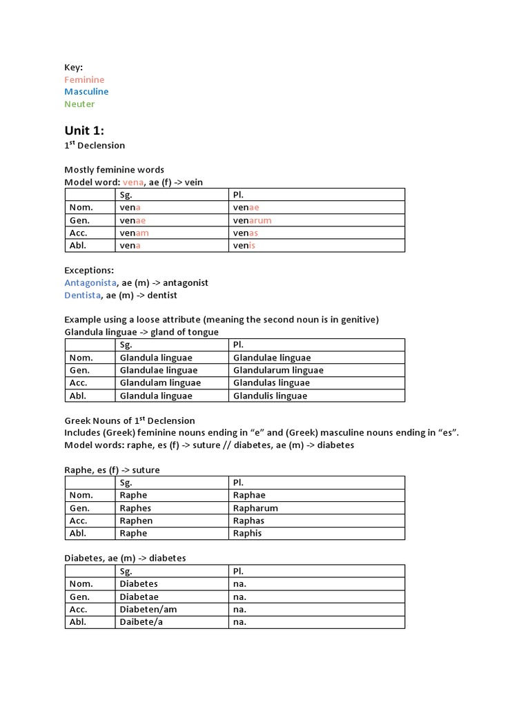LAt Notes | PDF | Grammatical Gender | Grammatical Number