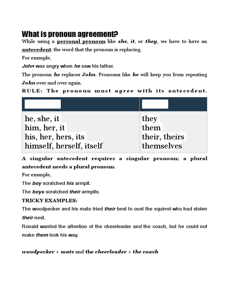 Correct Usage - Pronoun Antecedent | PDF | Grammatical Number | Pronoun