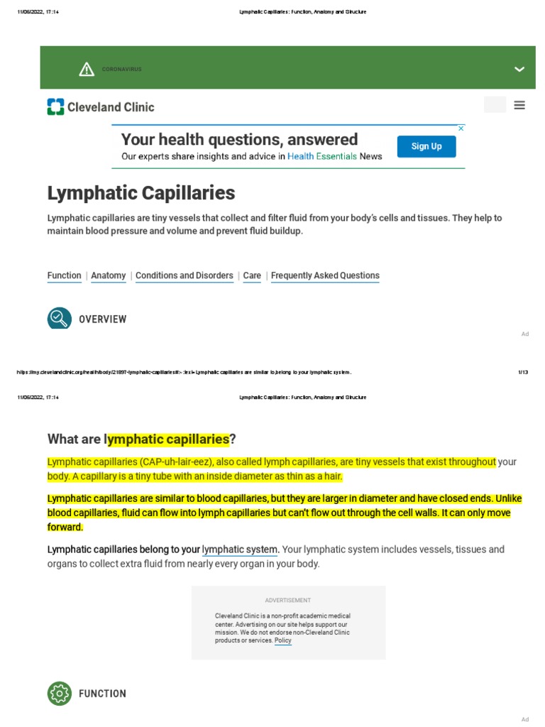 Lymphatic Capillaries - Function, Anatomy and Structure | PDF | Lymph ... Lymphatic Capillaries - Function, Anatomy and Structure | PDF | Lymph ...