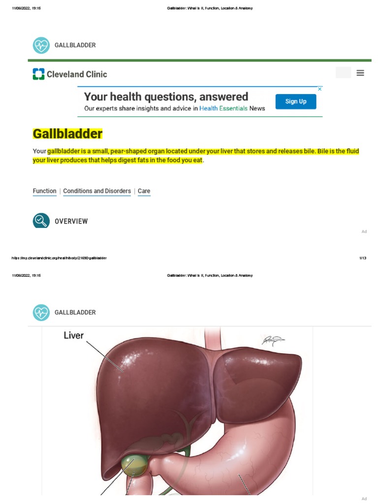 Gallbladder - What Is It, Function, Location & Anatomy | PDF