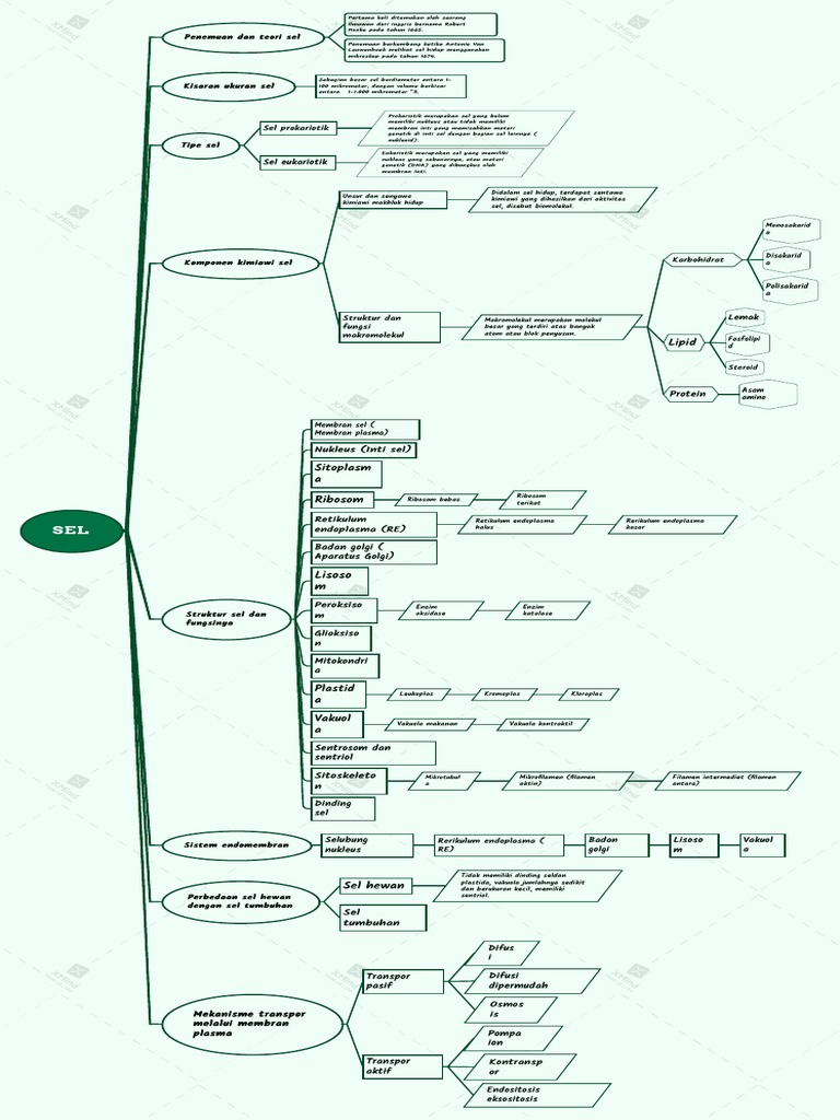 Mind Map Biologi | PDF