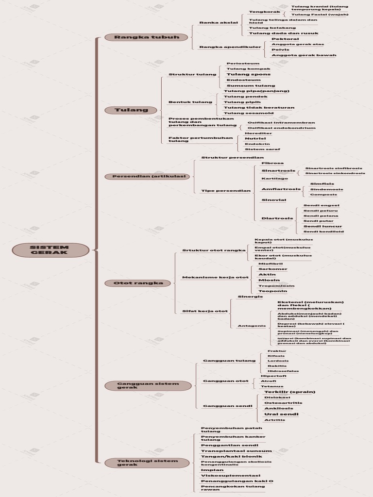 Mind Map Biologi Kelas 11 | PDF