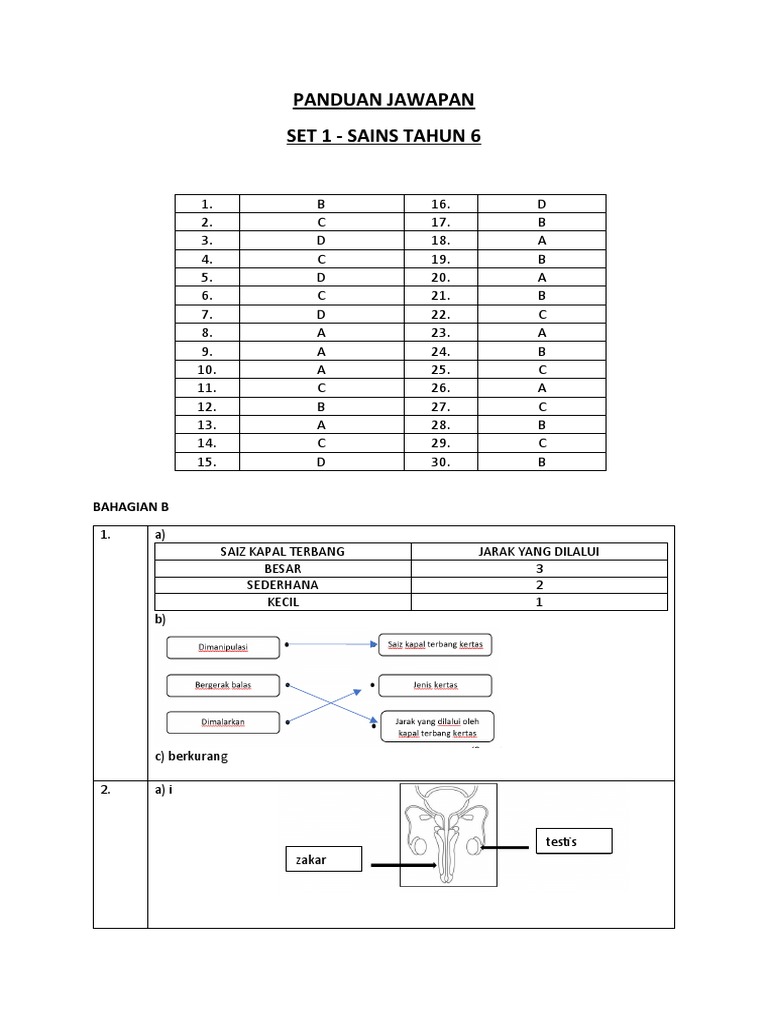 Modul PBD Kuiz Pengukuhan Sains Tahun 6 KSSR Semakan 06 | PDF