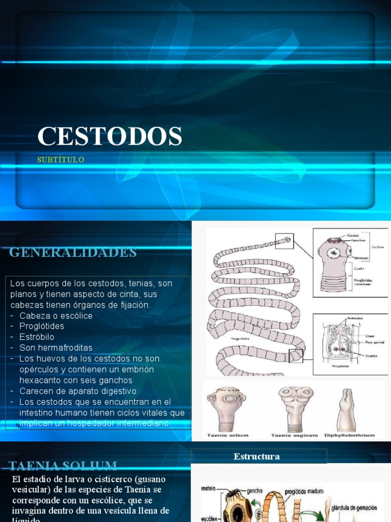 CESTODOS | PDF | Especialidades Medicas | Medicina CLINICA