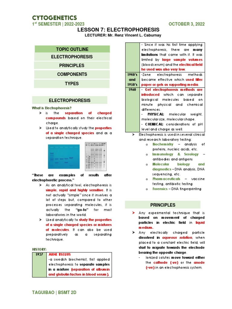Cytogenetics - Lesson 7 - Electrophoresis | PDF | Gel Electrophoresis ...