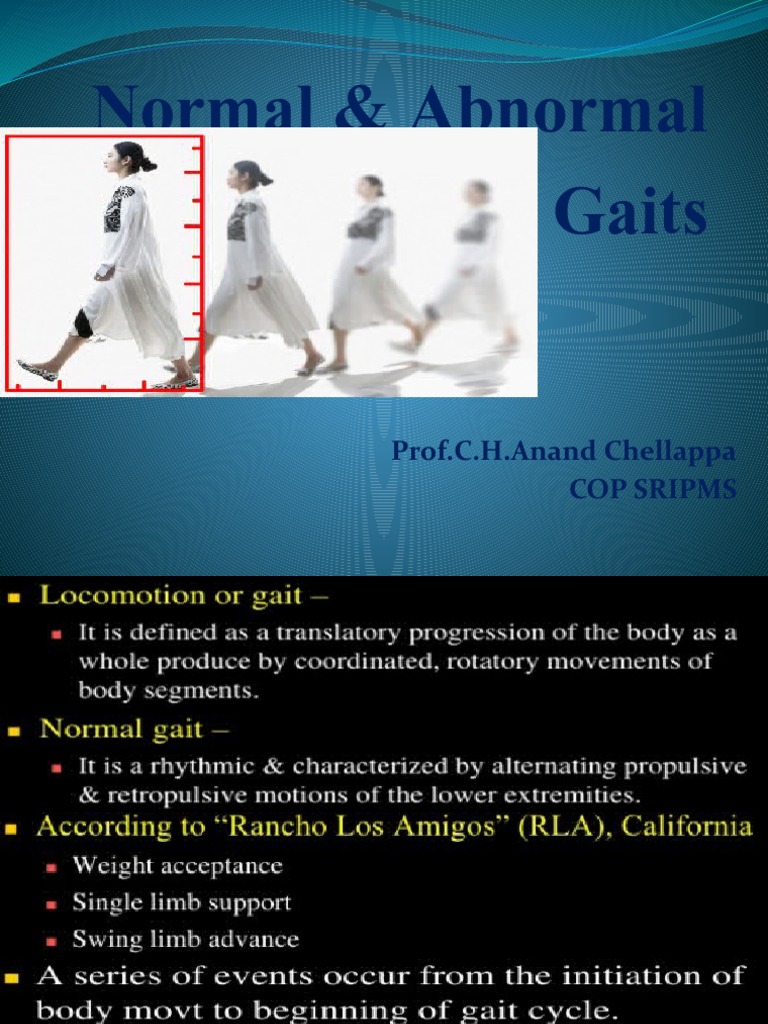 Normal & Abnormal Gait | PDF | Anatomical Terms Of Motion | Walking