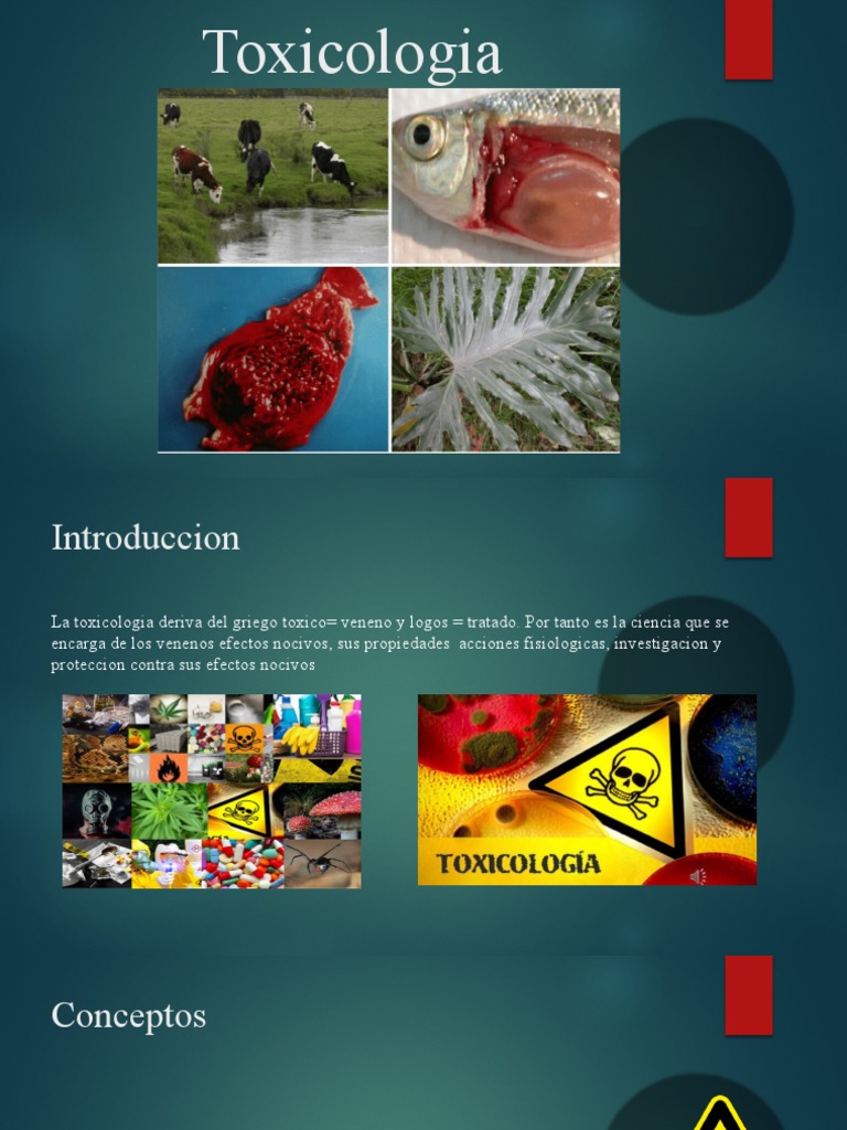 Toxicologia | PDF | Toxicología | Toxicidad