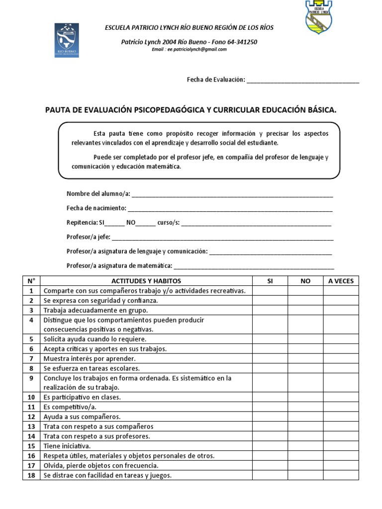 Pauta Evaluacion Pedagogica y Curricular Pie | PDF