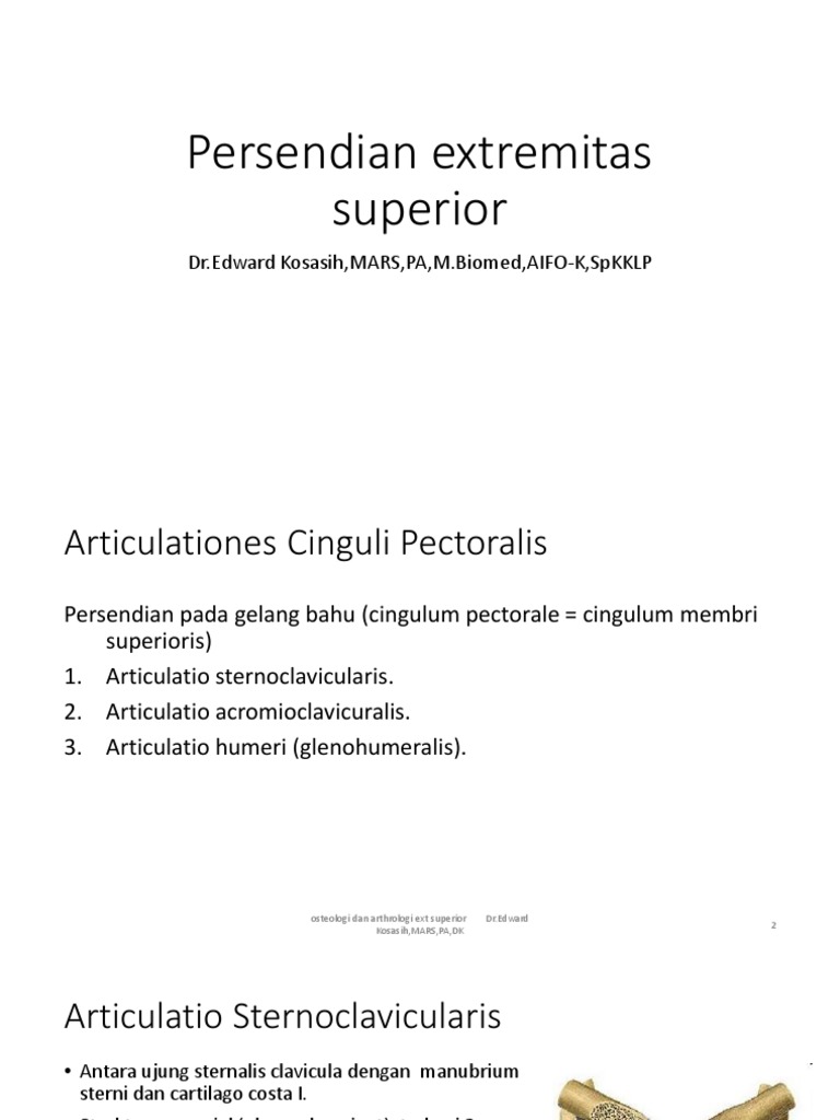 KP - 6.3 DR Edward Persendian Extremitas Superior | PDF | Kesehatan Holistik