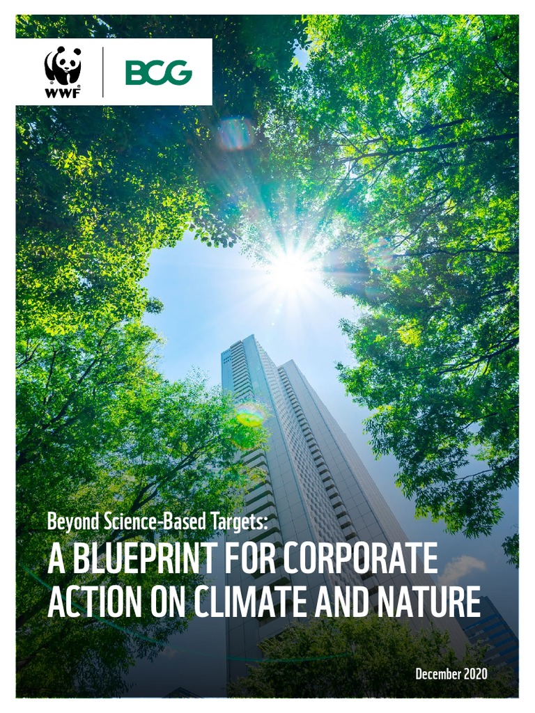 Beyond Science Based Targets A Blueprint For Corporate Action On ...