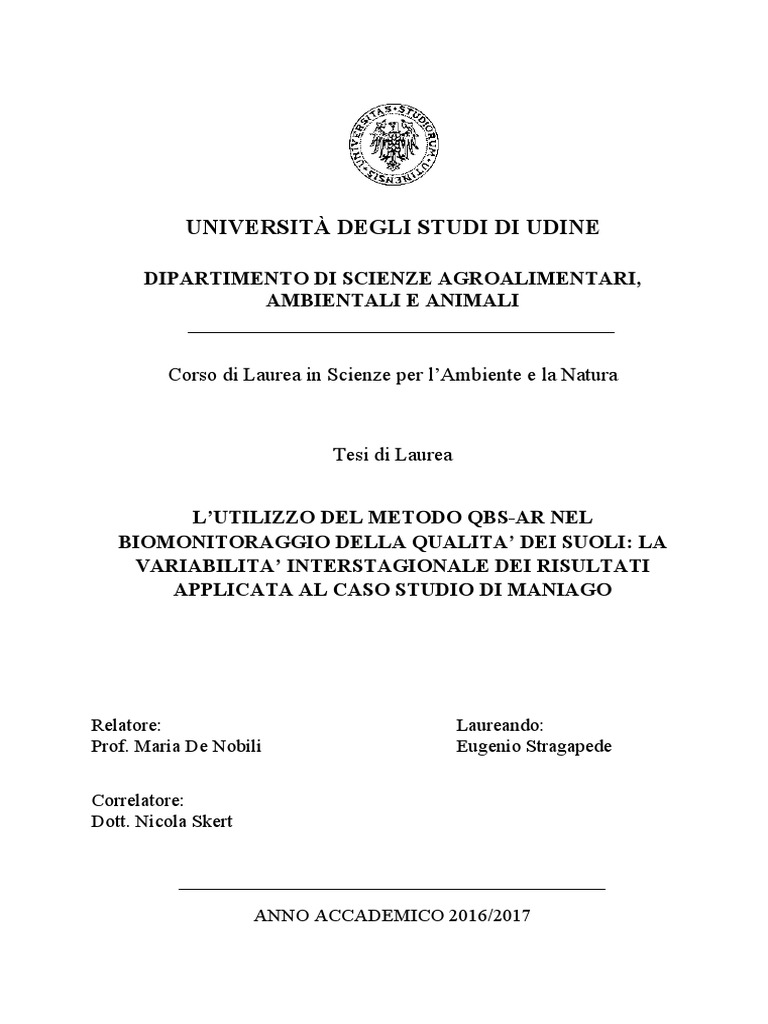 Tesi Di Laurea | PDF