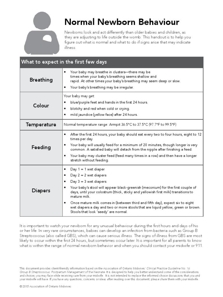 Normal Newborn Behaviour English | PDF | Infants | Midwife
