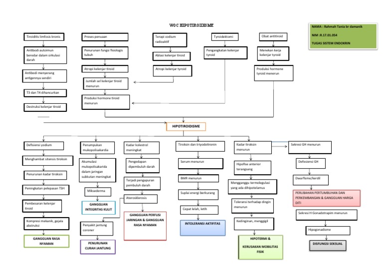 Rahmah Tania - WOC HIPOTIROIDISME | PDF