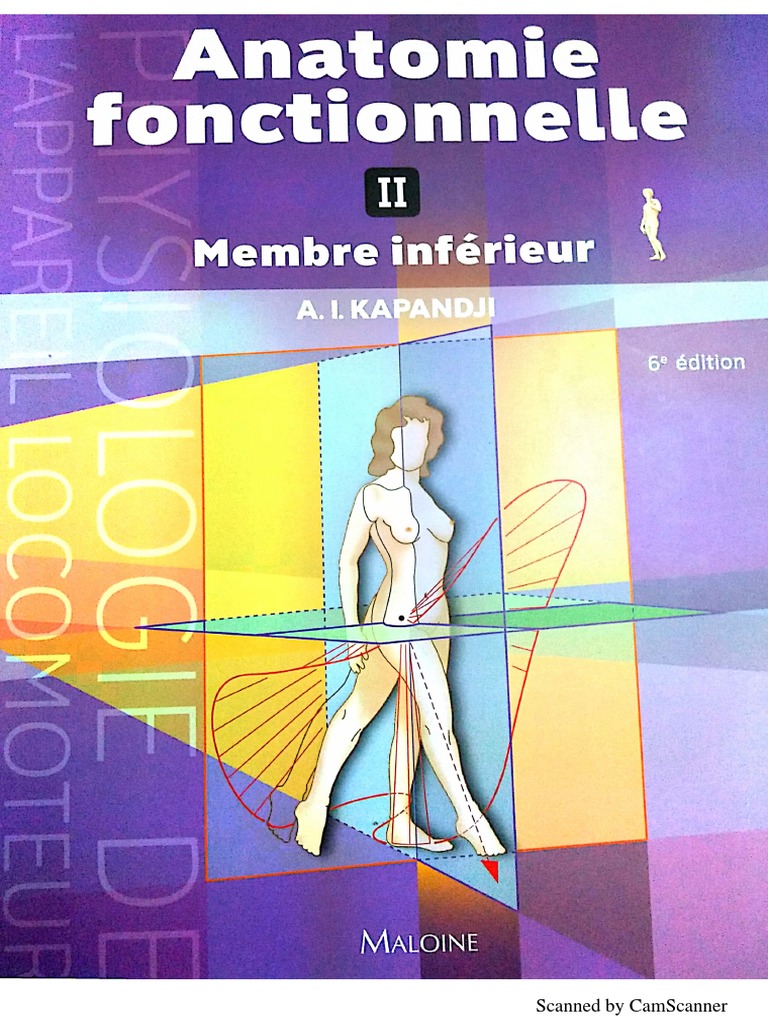 Adalbert Kapandji - Anatomie Fonctionnelle - Membre Inferieur ...