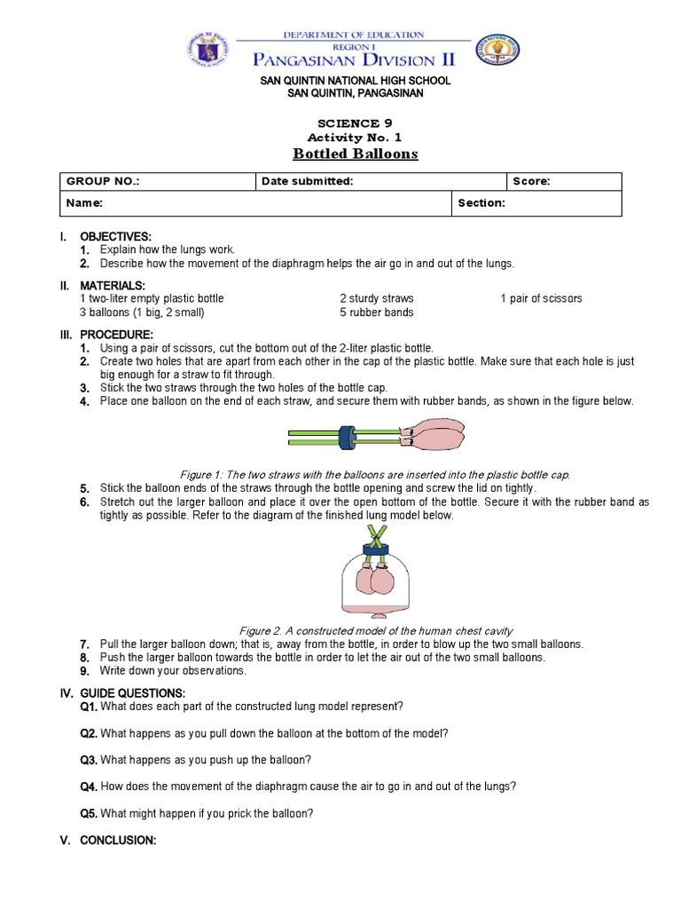Activity No.1 - Bottled Balloons | PDF | Science & Mathematics