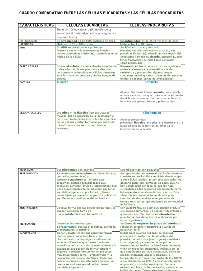CUADRO COMPARATIVO ENTRE LAS CÉLULAS EUCARIOTAS Y LAS CÉLULAS PROCARIOTAS Investigacion | PDF ...